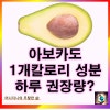 아보카도 1개 칼로리 영양성분 하루 권장량 네이버 블로그